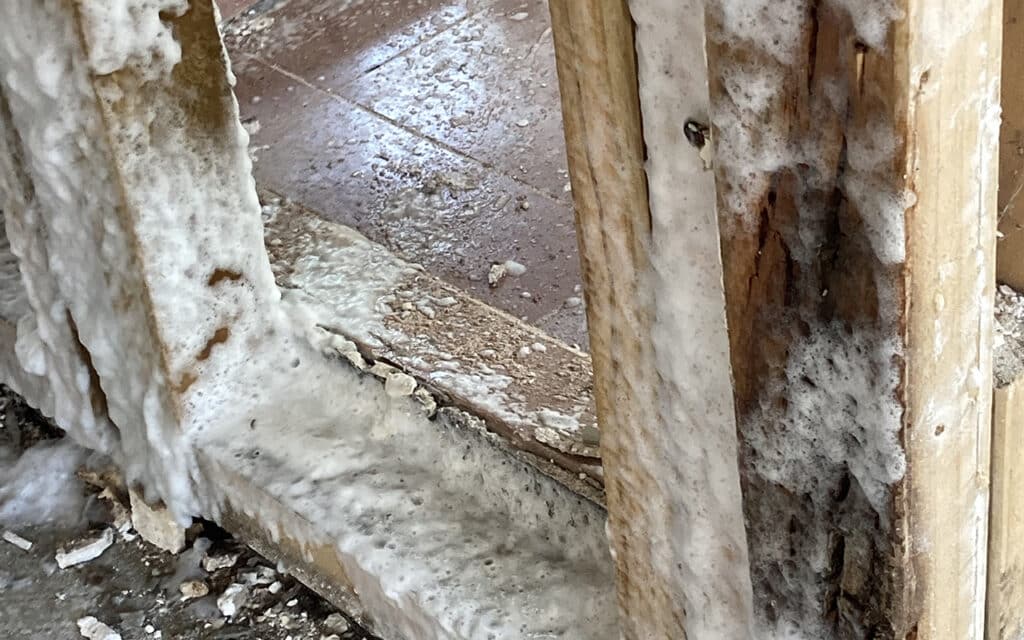 Winter Mould Removal - Pure Services