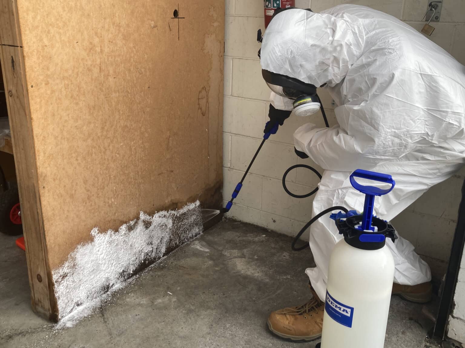 Mould Removal & Remediation | Pure Services NZ