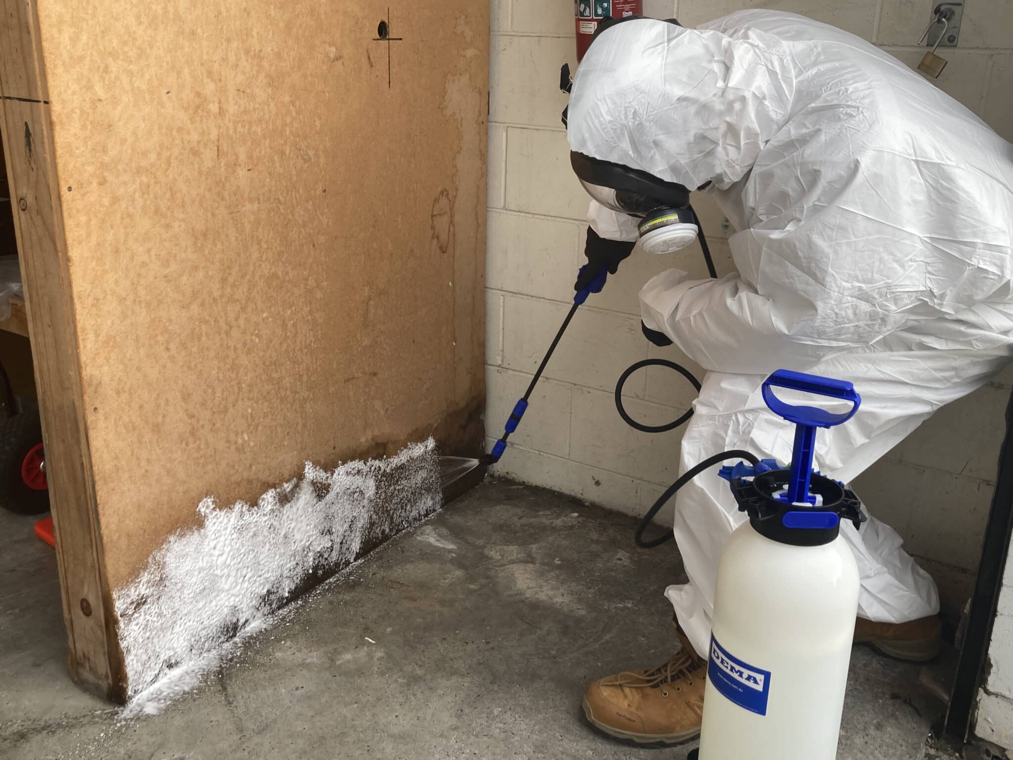 Mould Removal & Remediation | Pure Services NZ