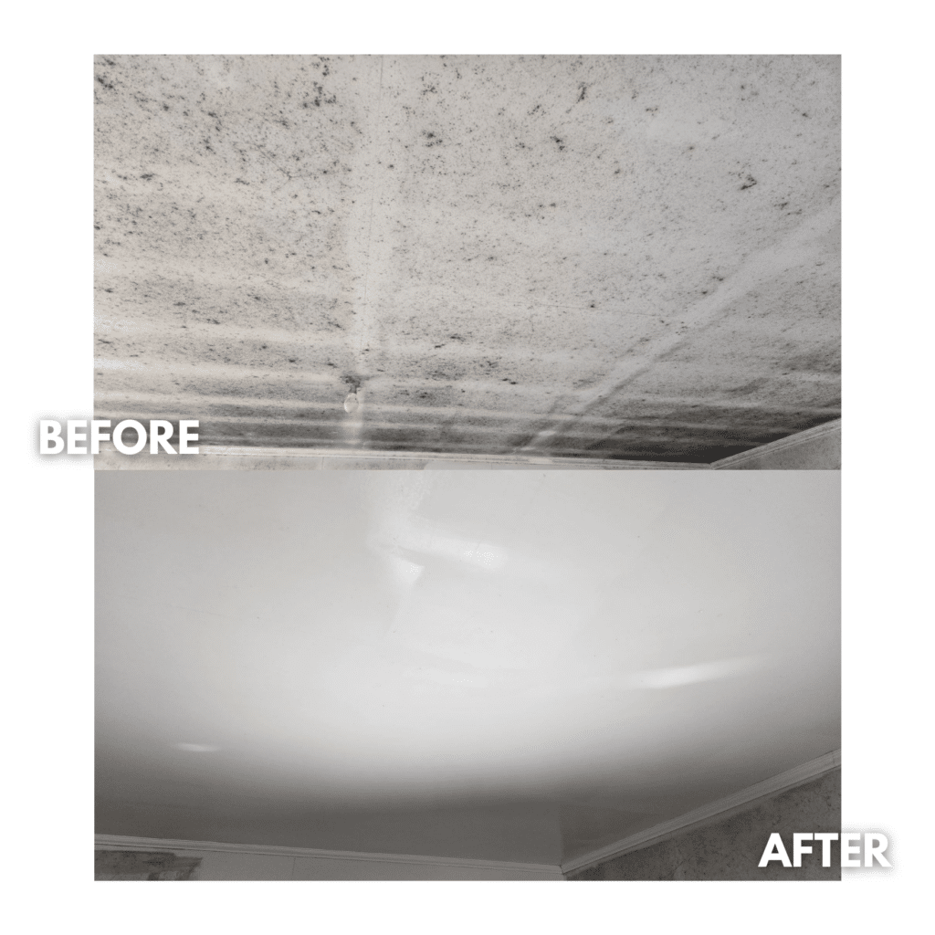 Mould In Your Home? Causes, Risks, and Professional Mould Removal ...