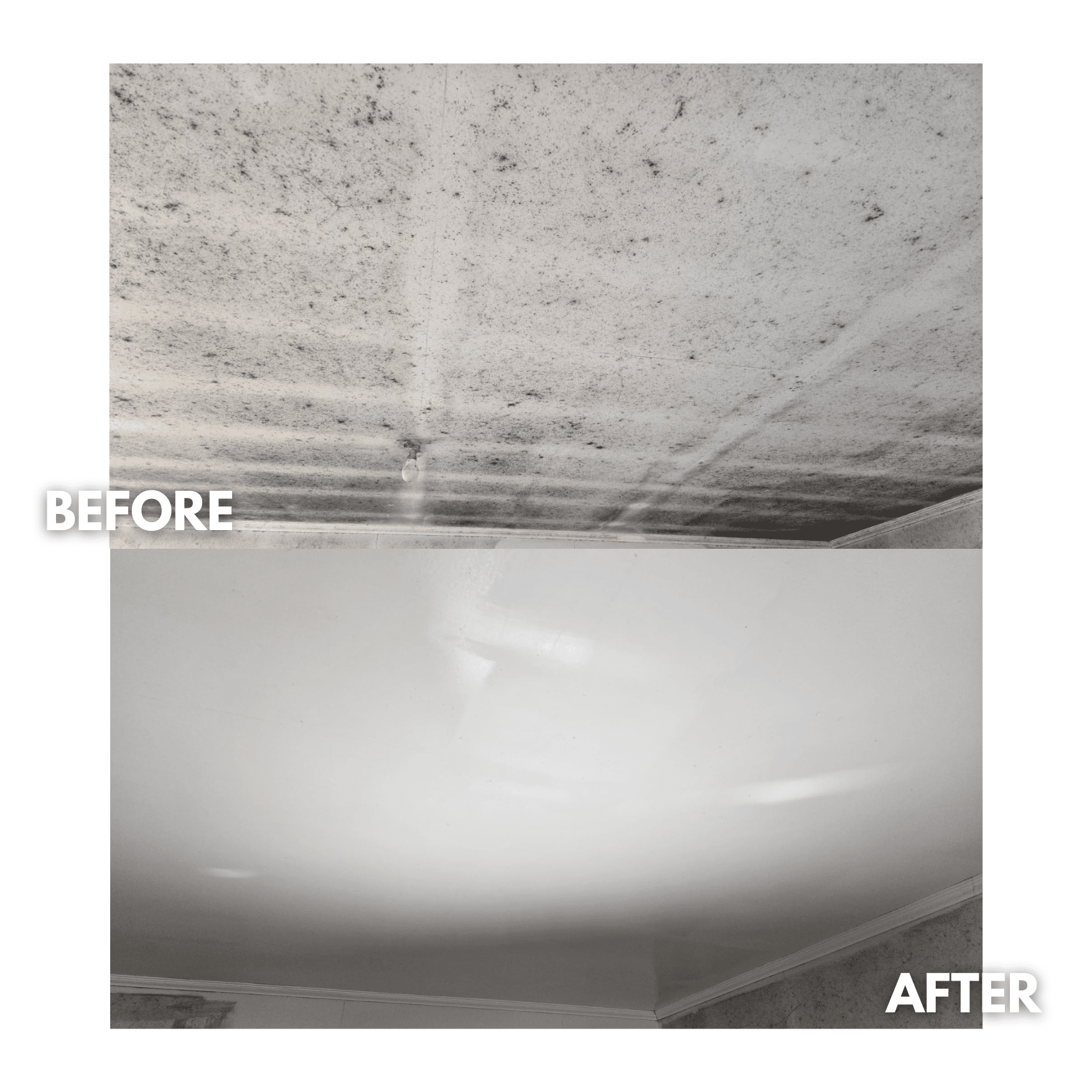 Mould In Your Home? Causes, Risks, and Professional Mould Removal ...